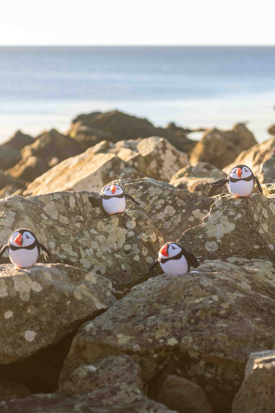 McSquashies - Peata Puffin – Scottish Field Shop